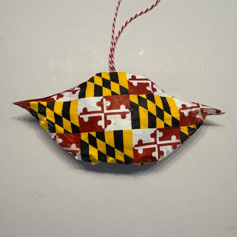 Oyster Shells Maryland - Etsy