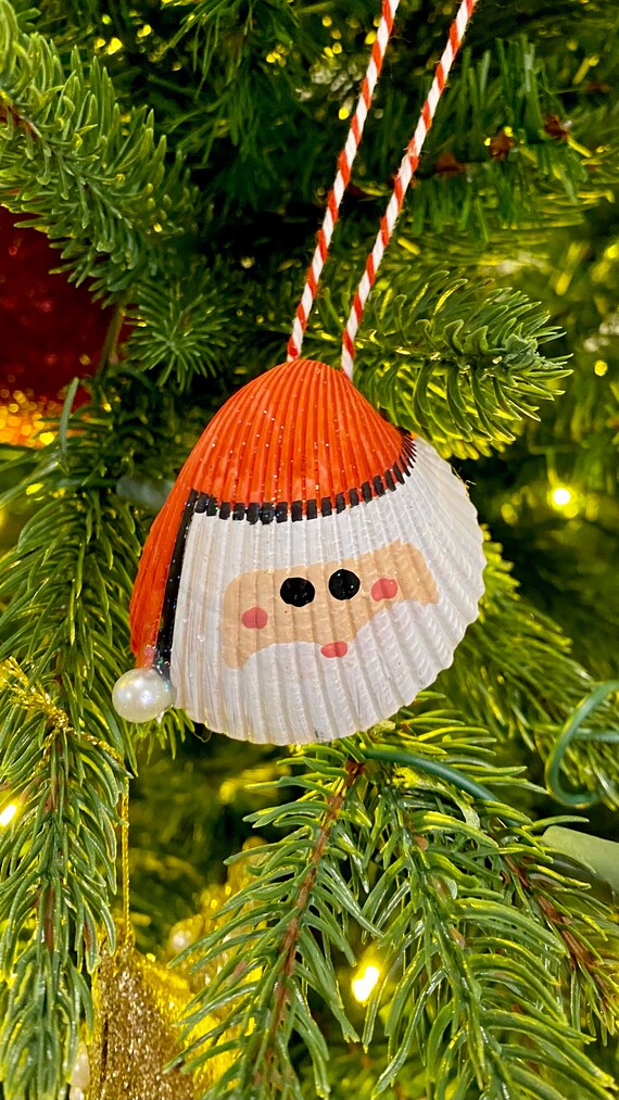 Santa Face Shell From Siesta Key | Etsy