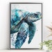 Blue Tortoise in Watercolor Artwork on Pine Framed Floating Canvas ...