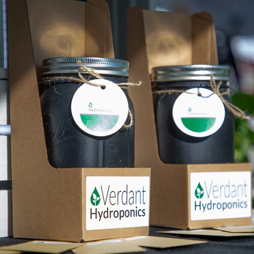 Hydroponic Kratky Starter Kit With Amber Mason Jar - Etsy