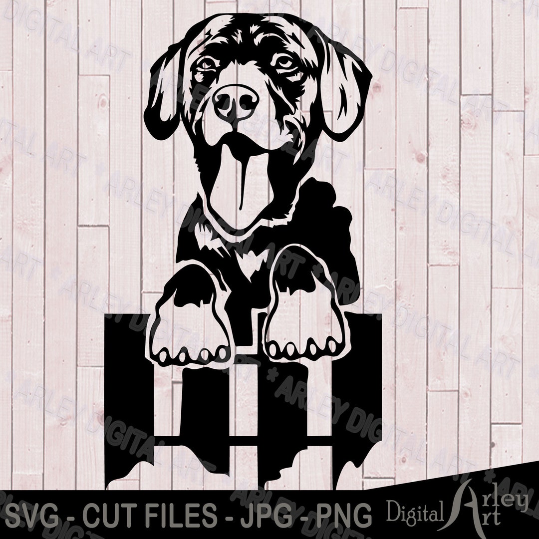 Labrador Retriever SVG Dog Cut Files, Pet Silhouette Cut File, PNG ...
