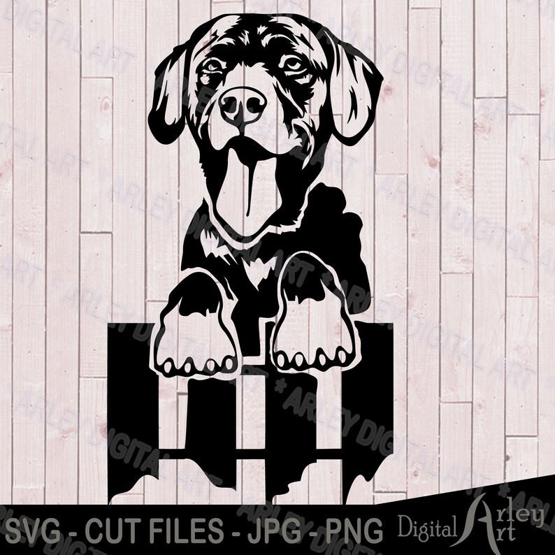 Labrador Retriever SVG Dog Cut Files Pet Silhouette Cut File - Etsy
