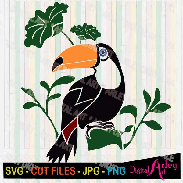 Toucan Svg - Etsy