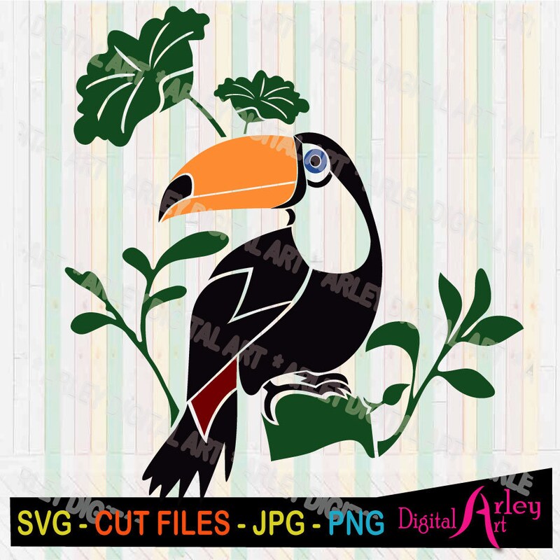 Toucan Svg - Etsy