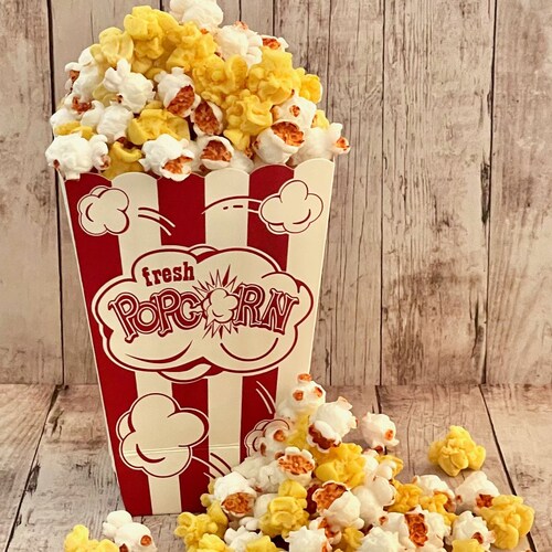 Fake Popcorn Photo Prop Party Prop Realistic Popcorn Movie | Etsy