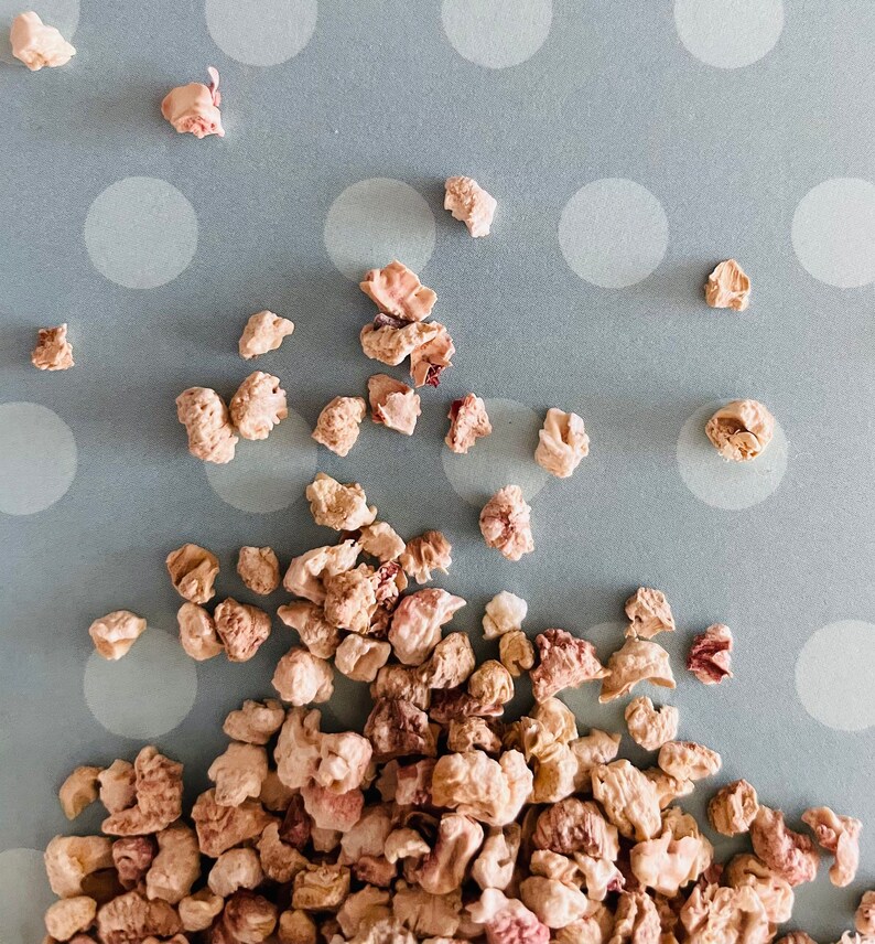 Fake Nut Topping Fake Nuts for Fake Baking Caramel Apples | Etsy