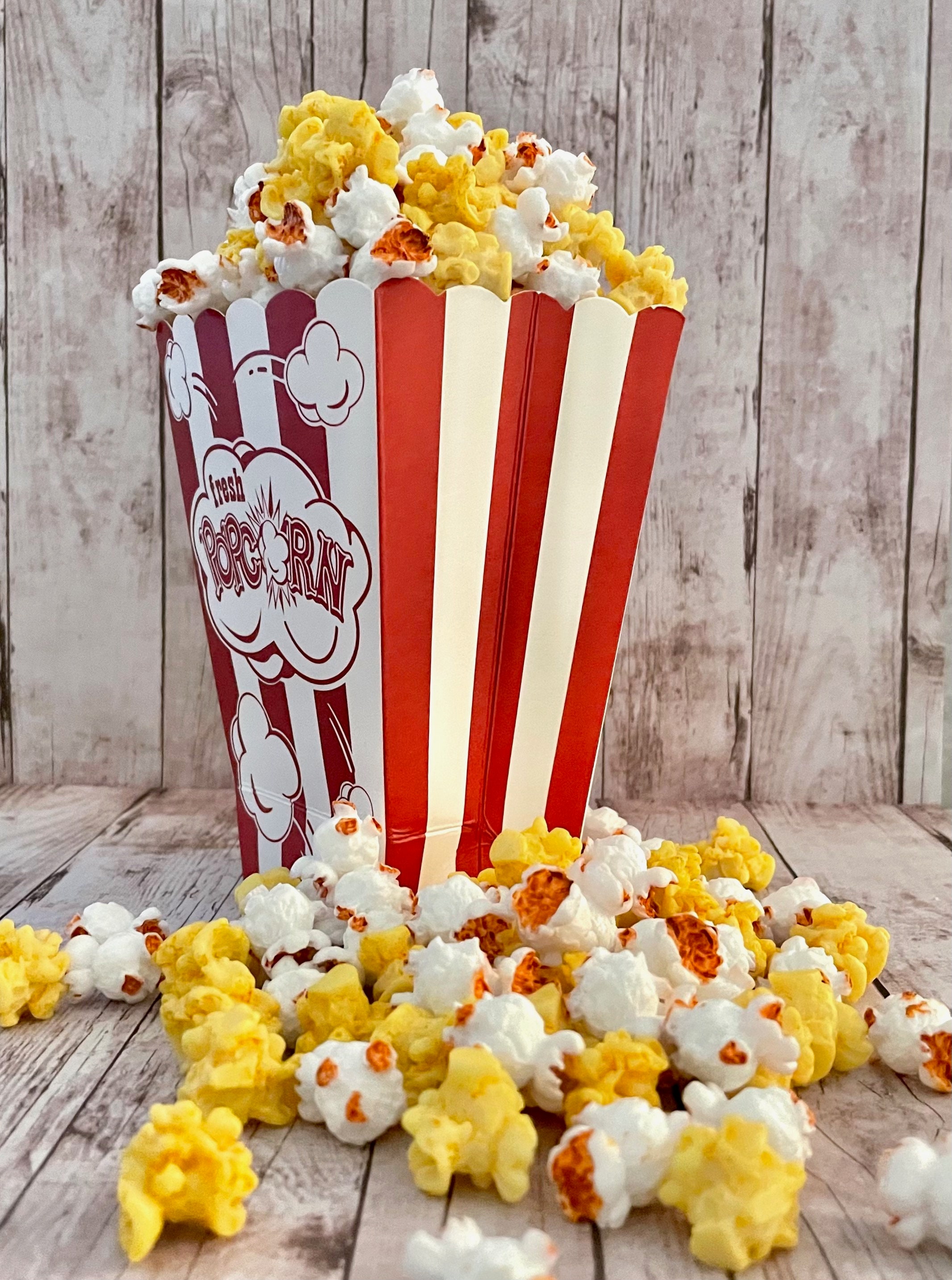 Fake Popcorn Photo Prop Party Prop Realistic Popcorn Movie | Etsy