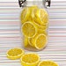 Realistic Faux/fake Lemon Slices, Lemon Tier Display, Artificial Lemon ...