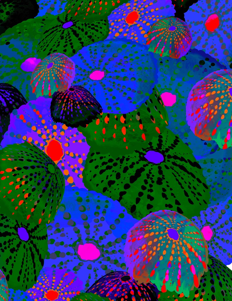 Glowing Sea Urchins - Etsy Glowing Sea Urchins - Etsy