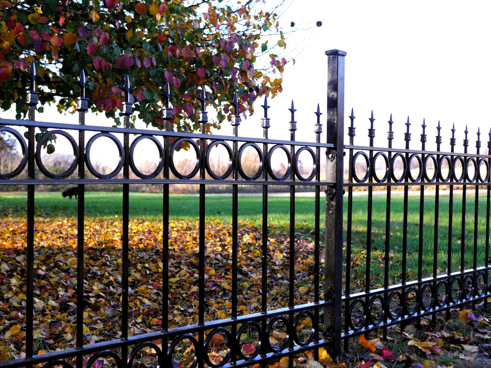 Deluxe Wrought Iron Fence Panel With Double Rings - Etsy