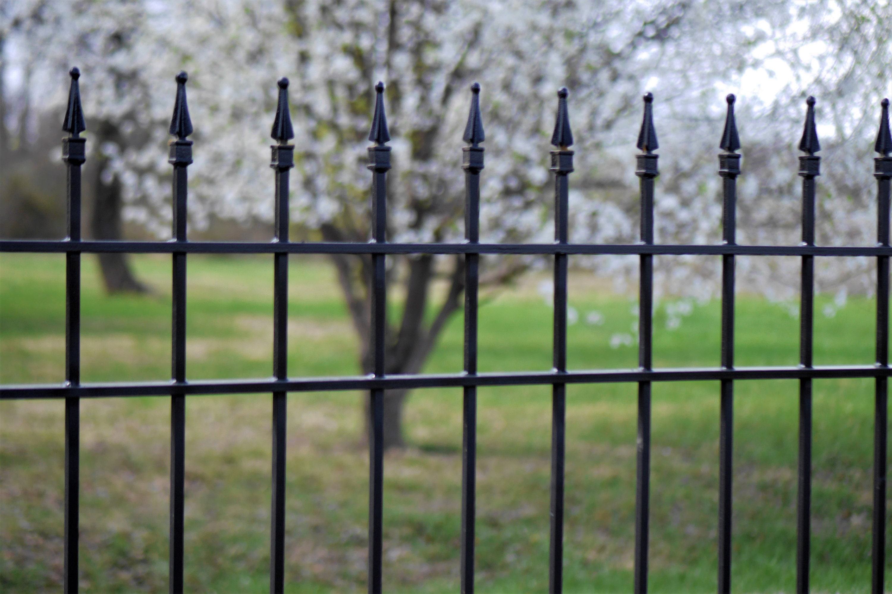 Deluxe Wrought Iron Fence Panels: Made With Solid Square Pickets ...