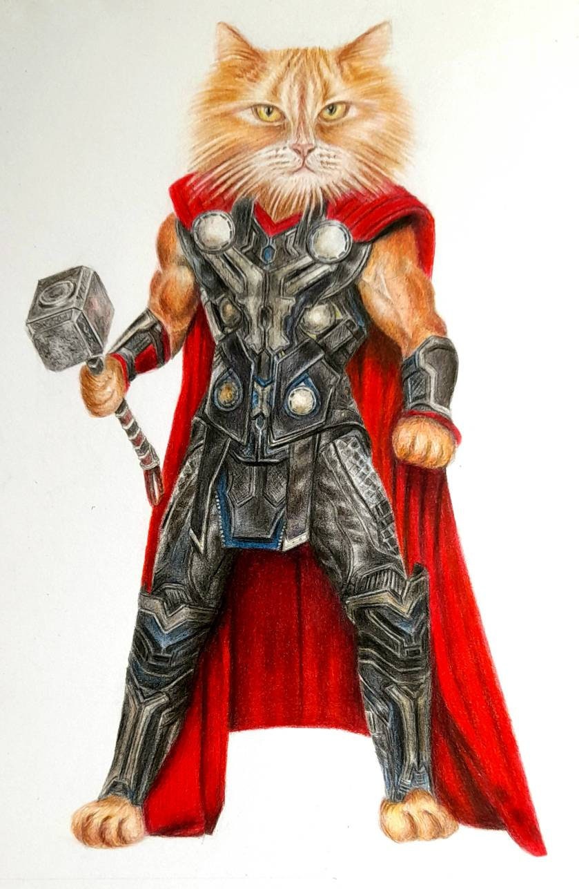 Marvel Superhero. Cat Art. Pet Cartoon. Custom Superhero Picture. Thor ...