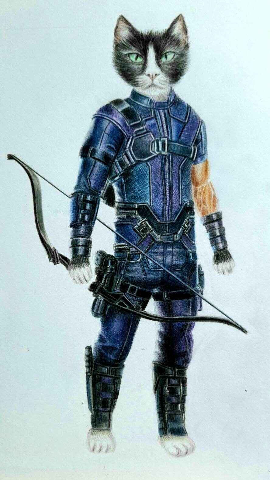 Marvel Superhero. Cat Art. Pet Cartoon. Custom Superhero Picture. Thor ...