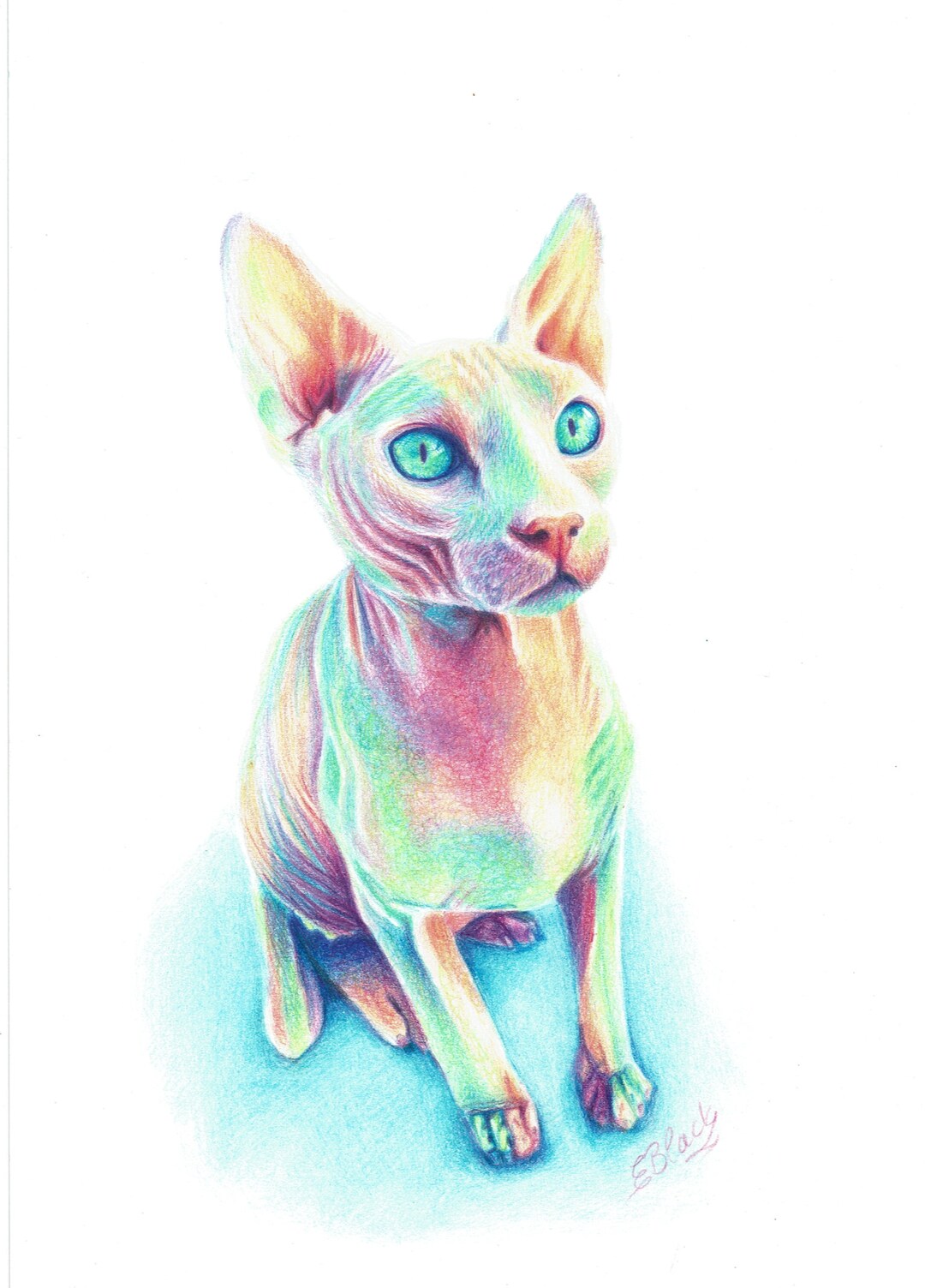 Sphynx Cat Art. Rainbow Cat. Sphynx Picture. Sphynx Gift. Cat Gift ...