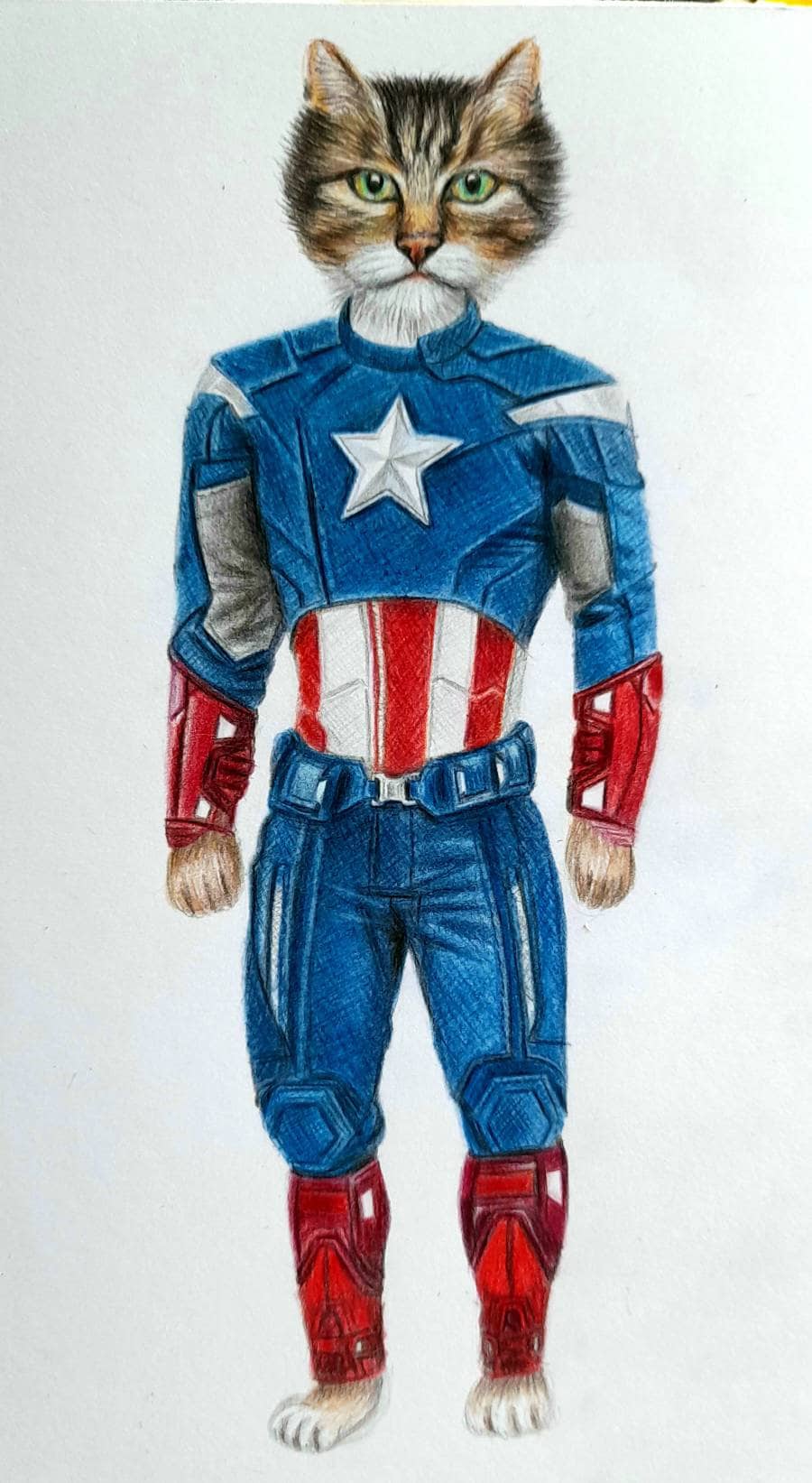 Marvel Superhero. Cat Art. Pet Cartoon. Custom Superhero Picture. Thor ...