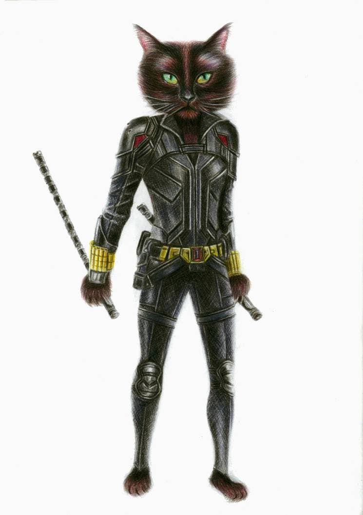 Marvel Superhero. Cat Art. Pet Cartoon. Custom Superhero Picture. Thor ...