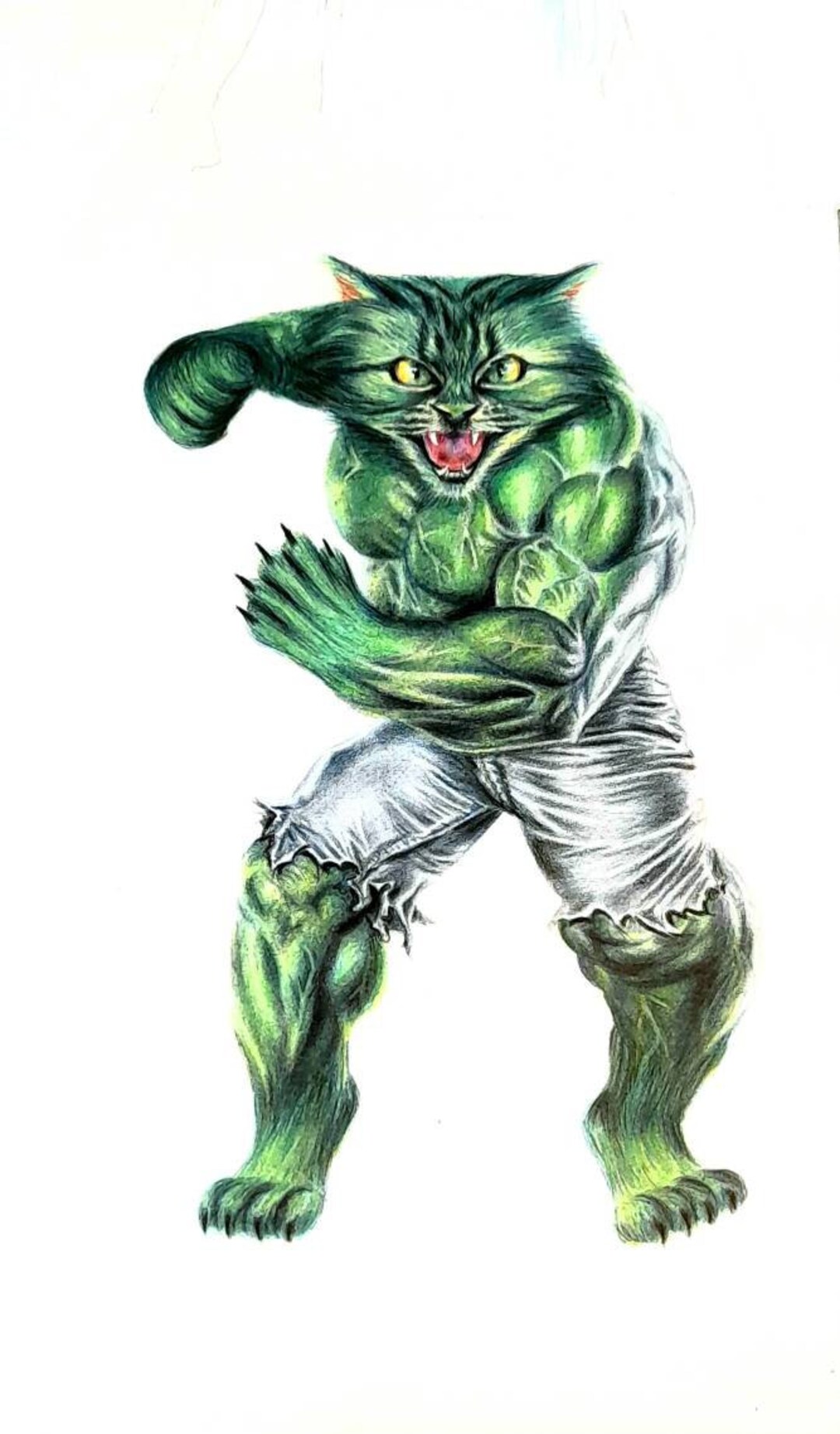 Marvel Superhero. Cat Art. Pet Cartoon. Custom Superhero Picture. Thor ...