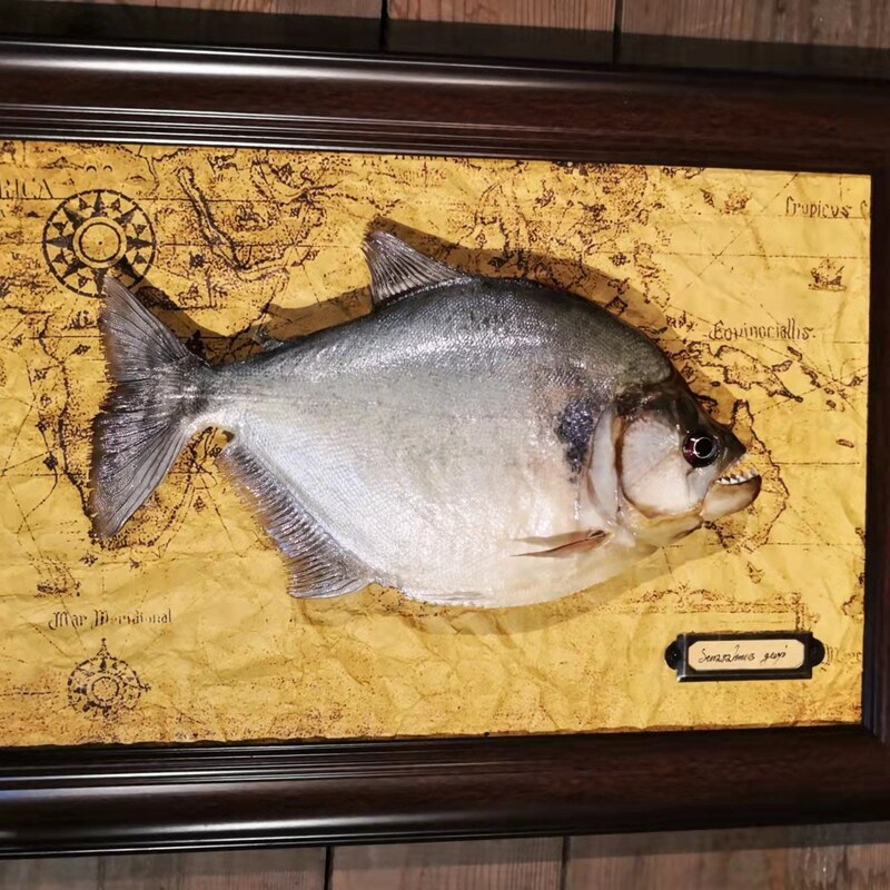 Fish Skin Mount - Etsy