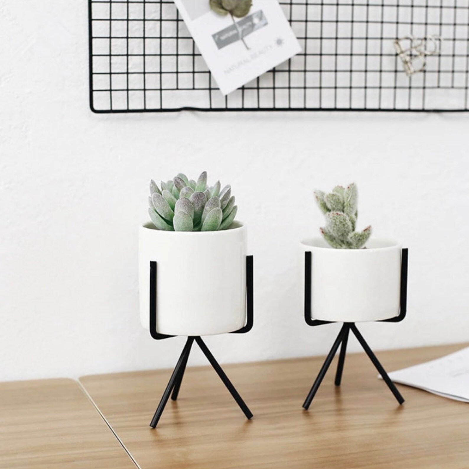 Succulent Planter Pot With Metal Stand | Ceramic | Simple | Modern ...