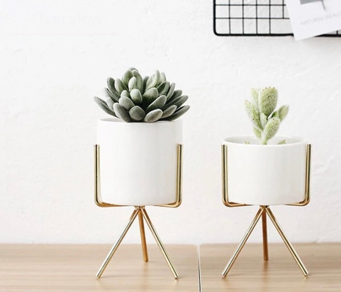 Succulent Planter Pot With Metal Stand | Ceramic | Simple | Modern ...