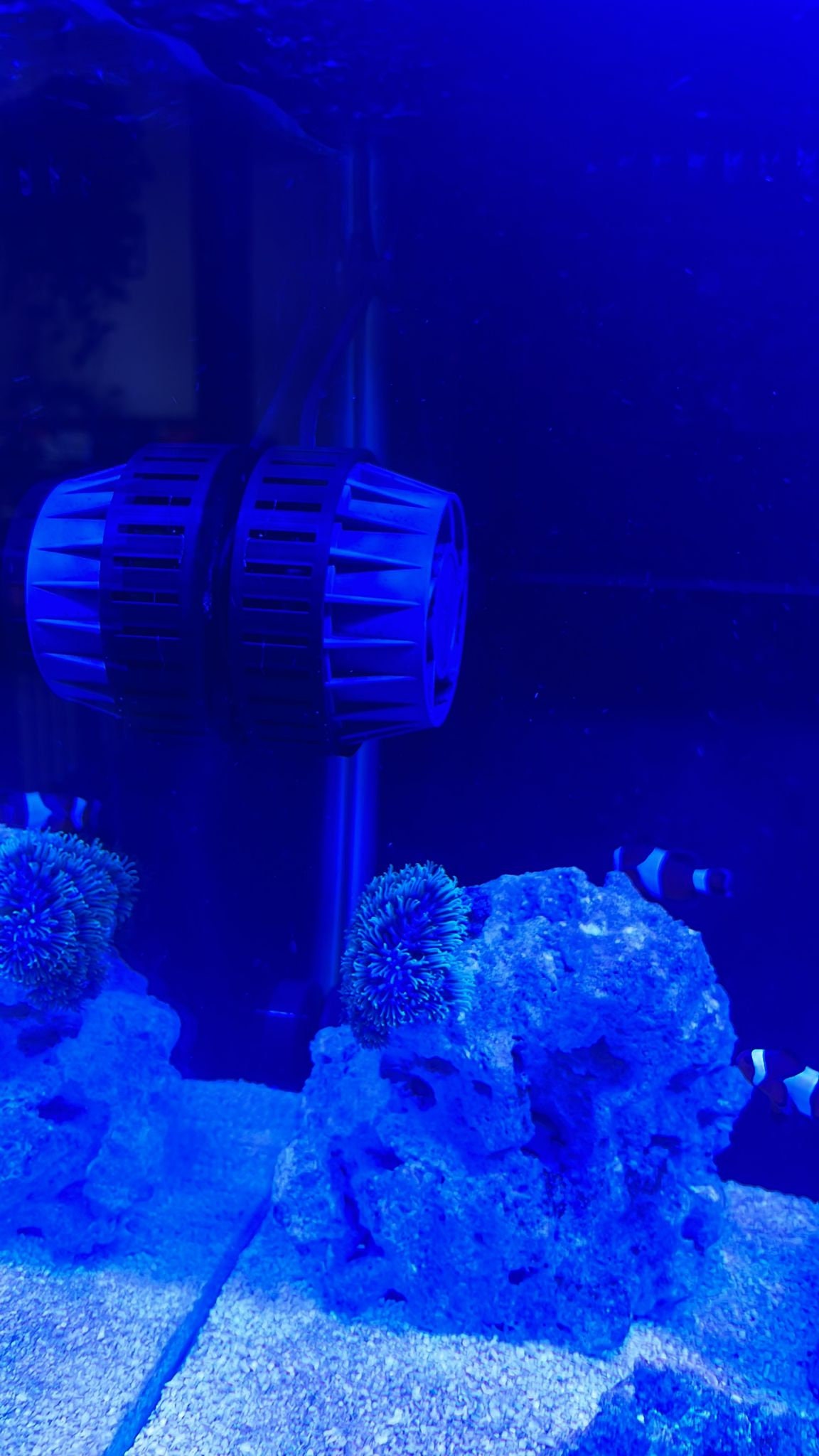 Anemone Guard for Hygger 3400 GPH - Fish Protection - Low Profile - 3D ...