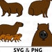 Capybara SVG and PNG Bundle | Projects for Crafters, Cricut, Silhouette ...