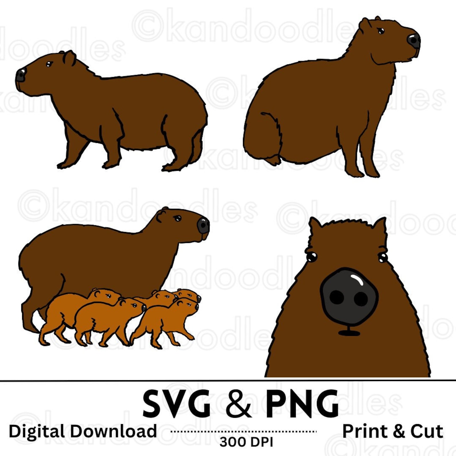 Capybara SVG and PNG Bundle | Projects for Crafters, Cricut, Silhouette ...