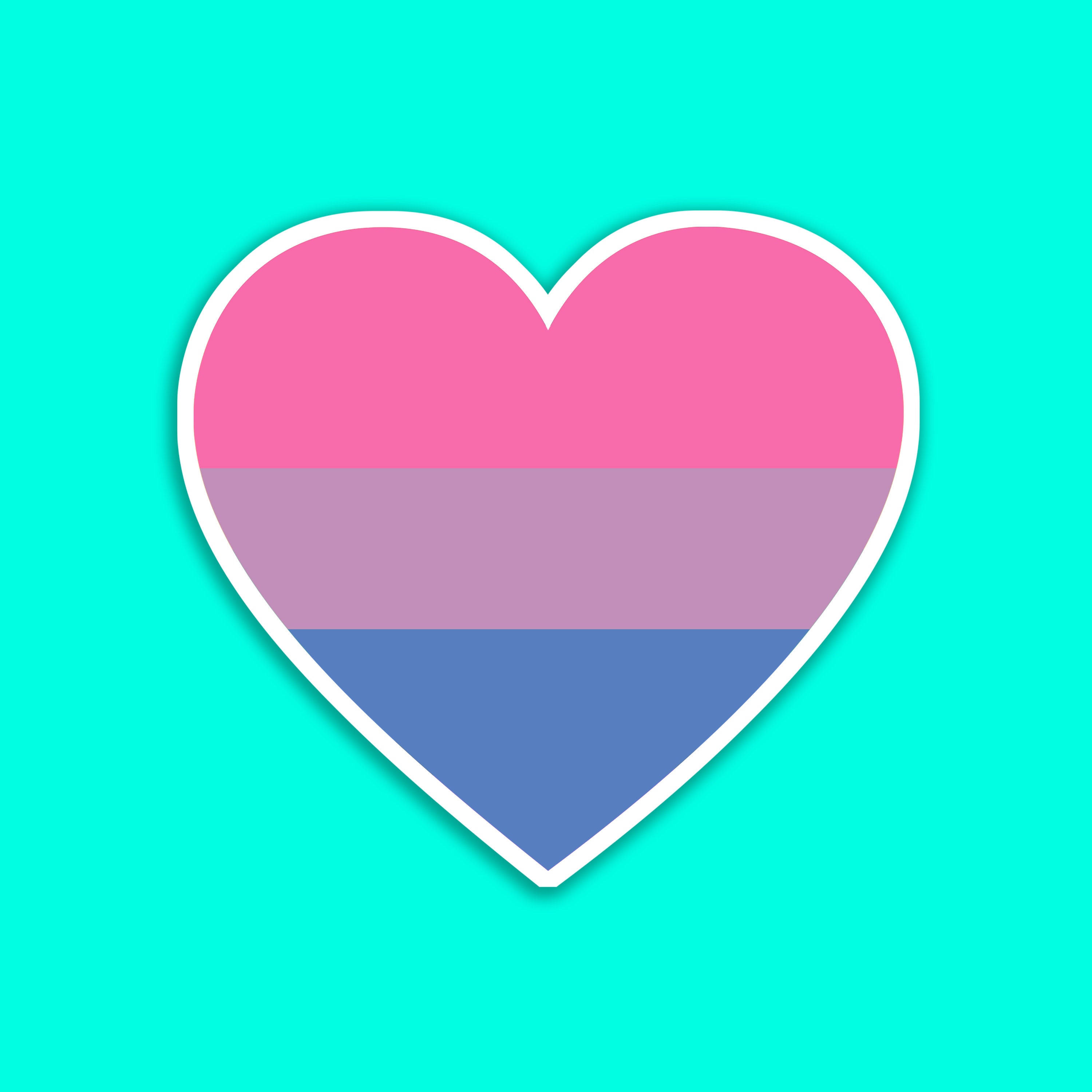 Bi Pride Flag Heart Sticker or Magnet Die Cut Waterproof | Etsy
