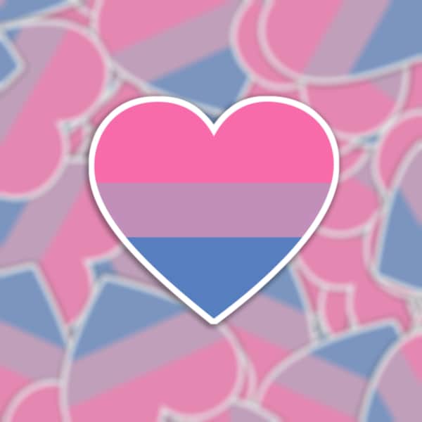Bi Flag Sticker - Etsy