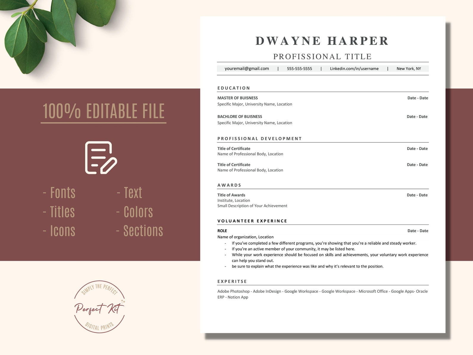 Professional Resume Template ATS, Simple Resume Format, Ats Friendly ...