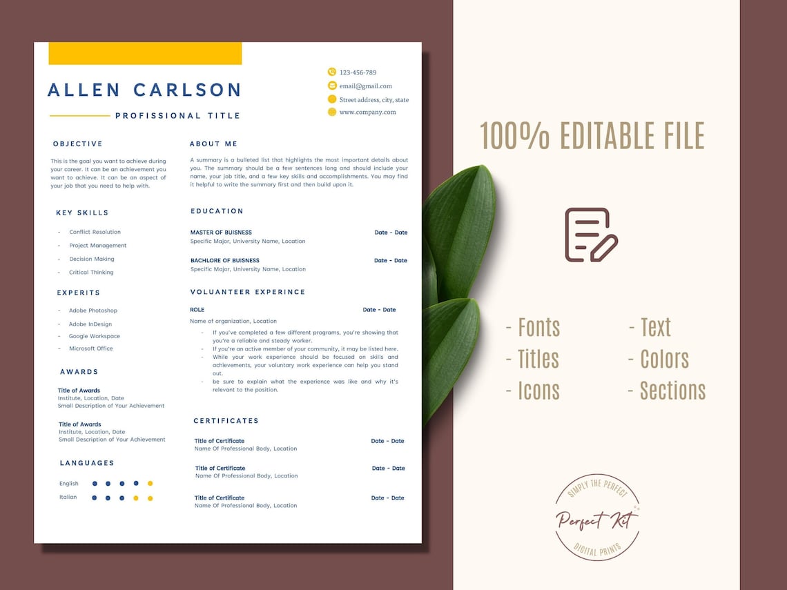 Resume Template for Freshers College Resume Template for - Etsy