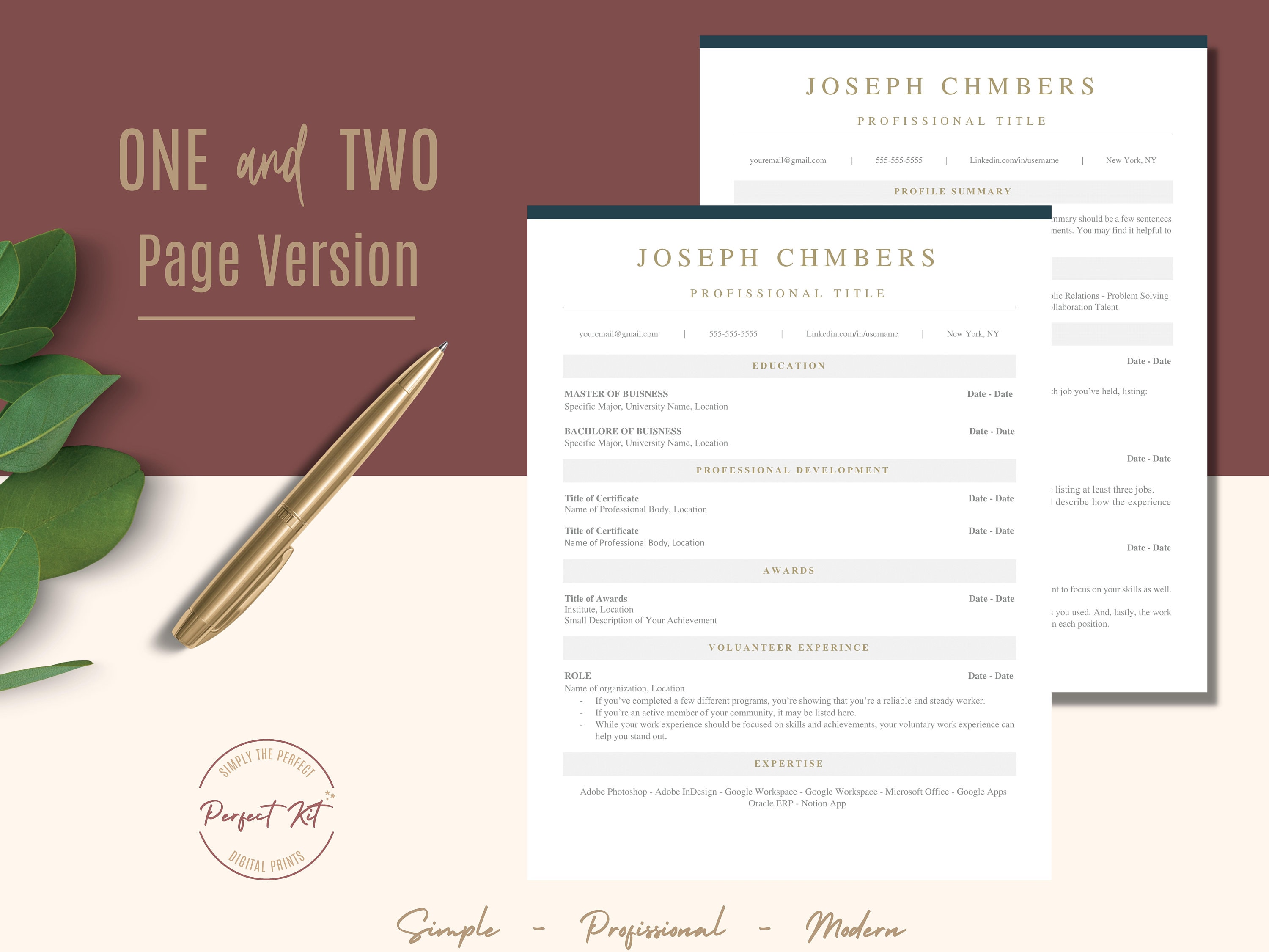 ATS Resume Format, Ats Executive Resume Template, Creative Word Resume ...