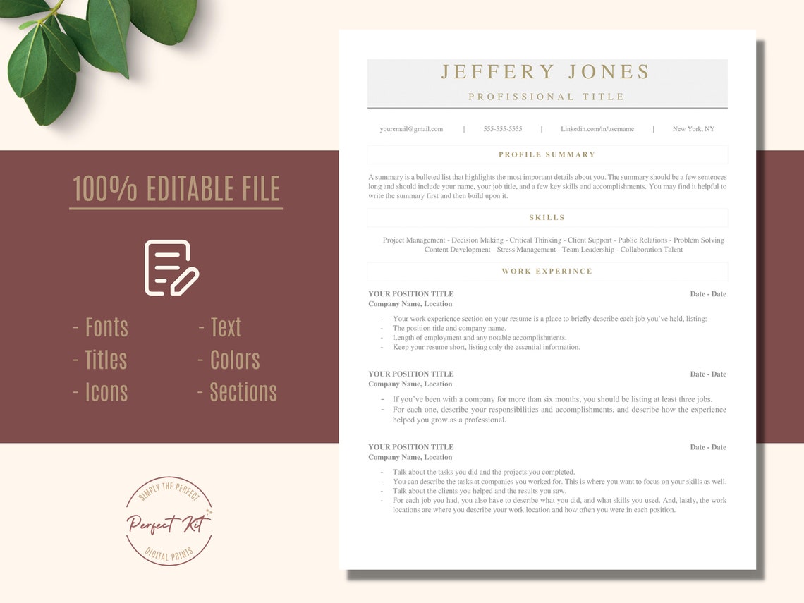Executive Resume Template ATS, ATS Compliant Resume, Resume Template ...
