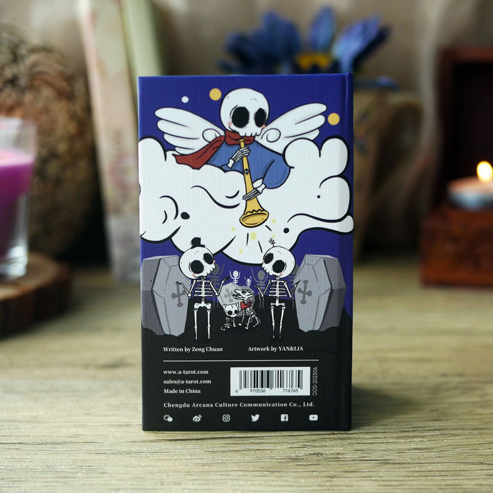 Diary of Skeleton Tarot Rider-waite Creepy Cute Halloween Gift Idea - Etsy