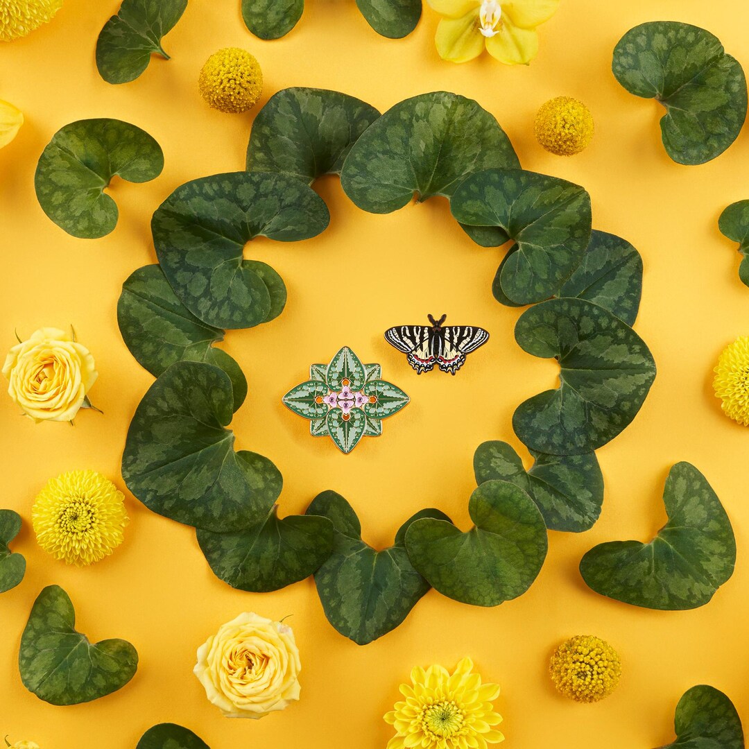 Daparo Enamel Pins "chinese Luehdorfia & Wild Ginger" Butterfly Flower ...