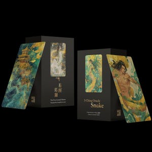 I-ching Oracle Snake Edition Book of Changes Year of the Snake Zodiac ...