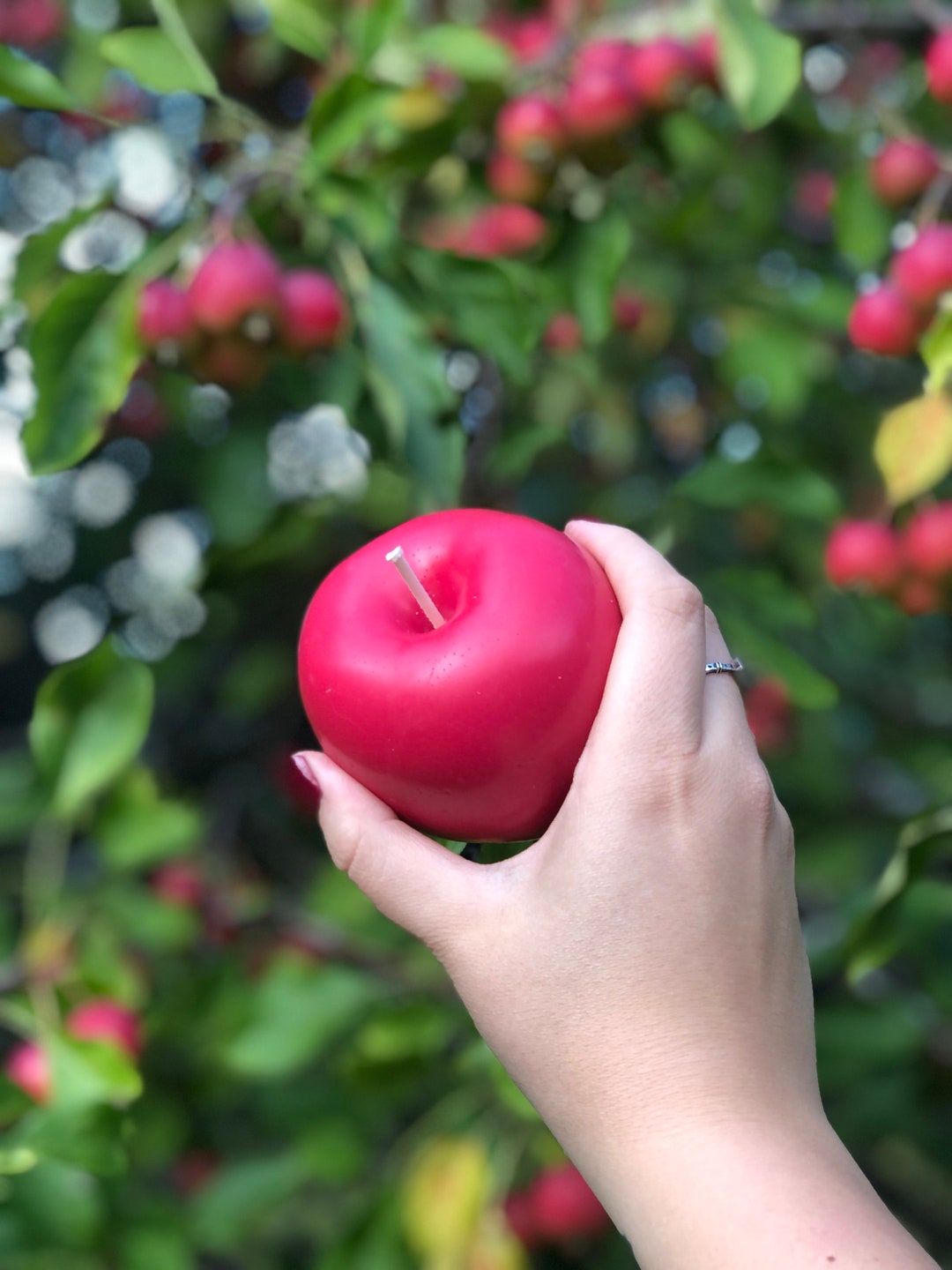 Apple Harvest Scented Shaped Pillar Candle, Hand Poured, Red Candles, 2 ...