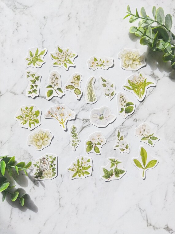 Gardenia Plant Sticker Pack Bullet Journal Scrapbooking | Etsy