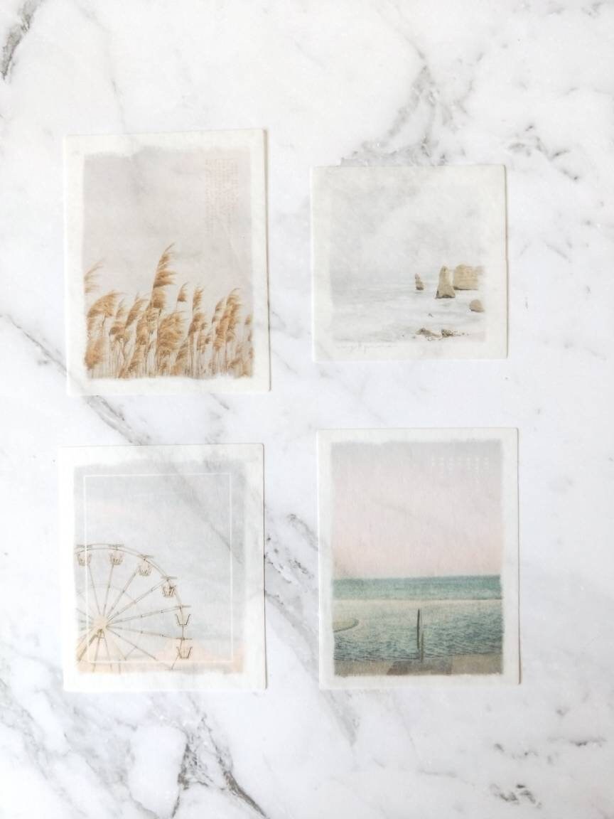 Natural Beach Stickers Aesthetic Picture Stickers Plant - Etsy