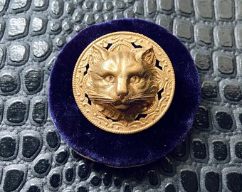 Victorian Cat | Etsy