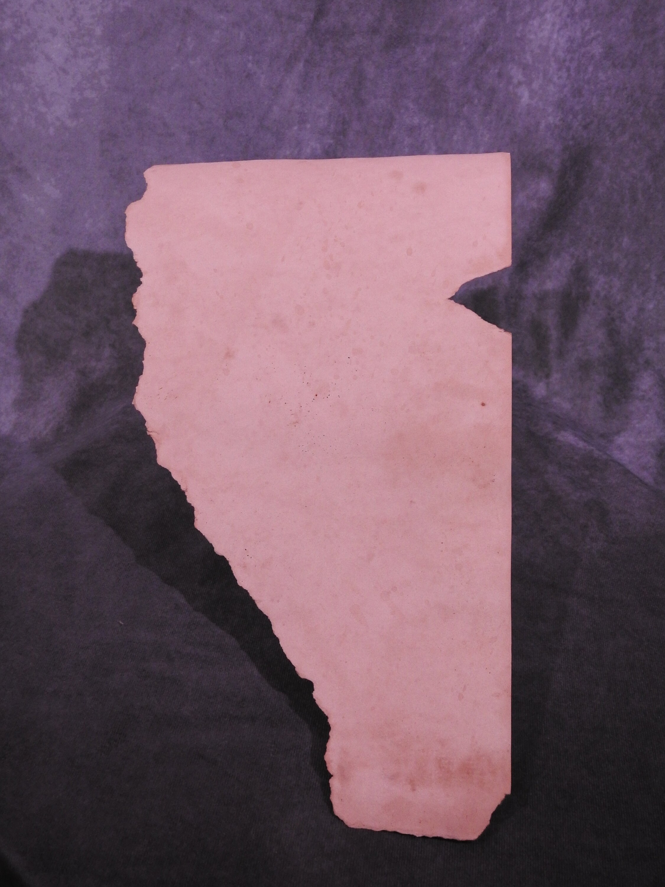 Demanitus Scroll tangled the Series - Etsy