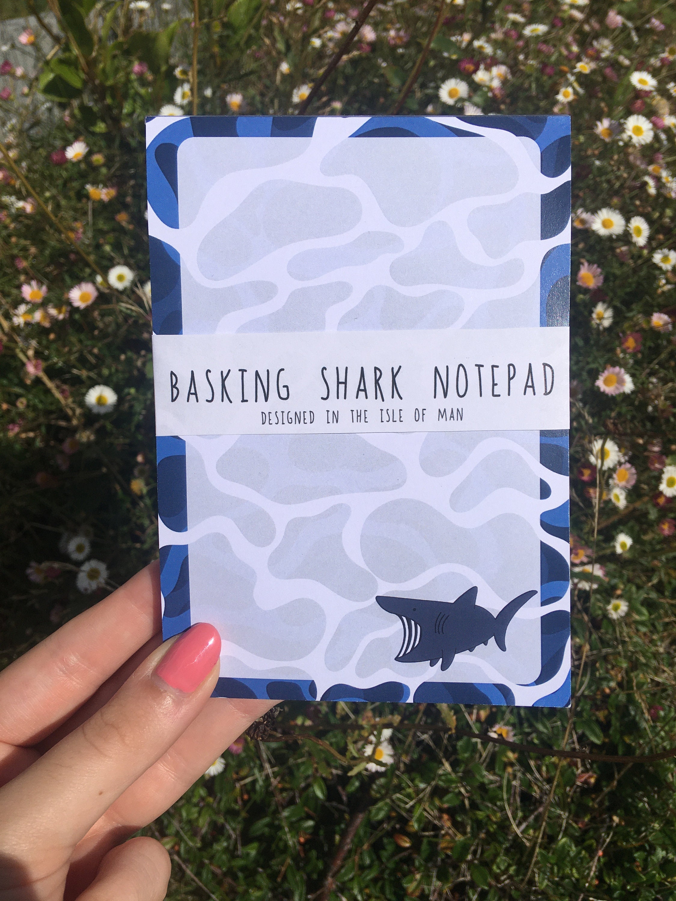 A6 Basking Shark Notepad - Etsy UK