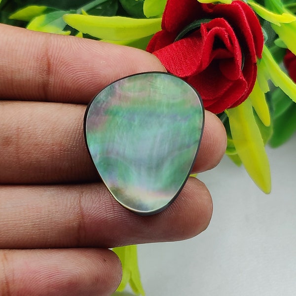 Rainbow Shell - Etsy