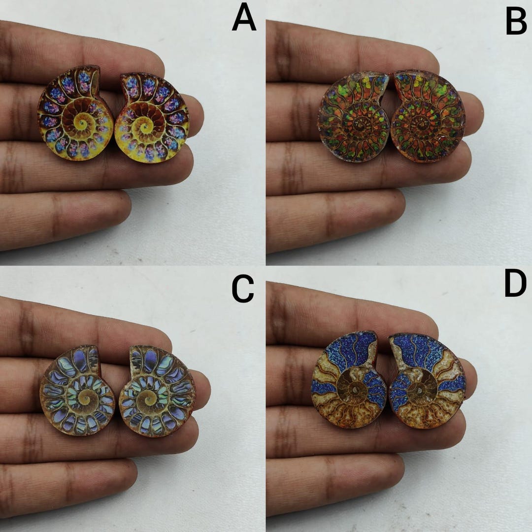 Beautiful Pairs of Ammonite Gemstone - Ammonite - Ammonite Fossil ...