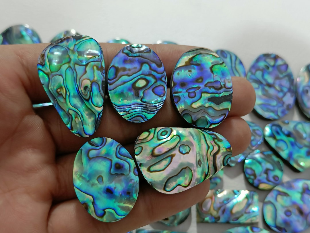 Natural Abalone Shell Gemstone, Unique Flashy Abalone Shell Use for ...