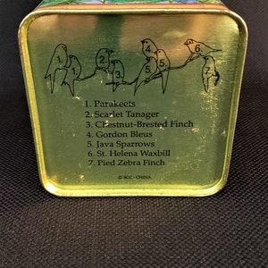 Vintage Bird Tin with Finial SCC Tin Birds in Cage Birds on | Etsy