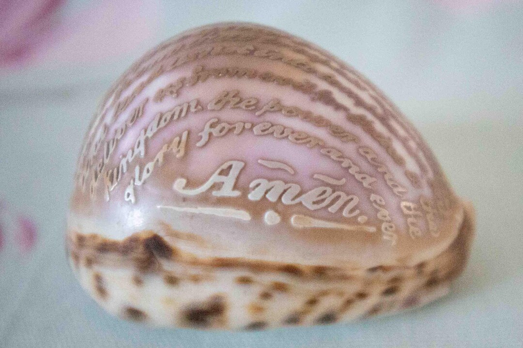 Victorian Conch Shell With Lord's Prayer: Fine Condition - Etsy