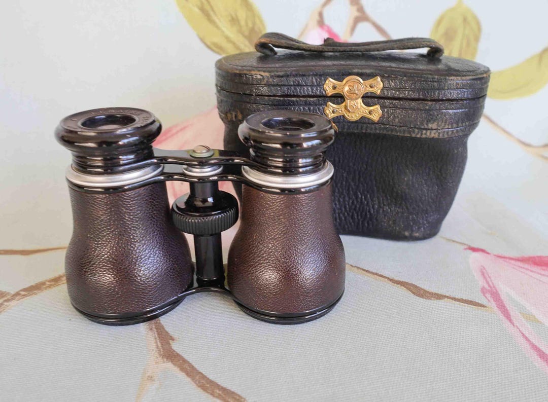 Fabulous Set of Victorian Lemaire (french) Opera Glasses: Famed Bumble ...