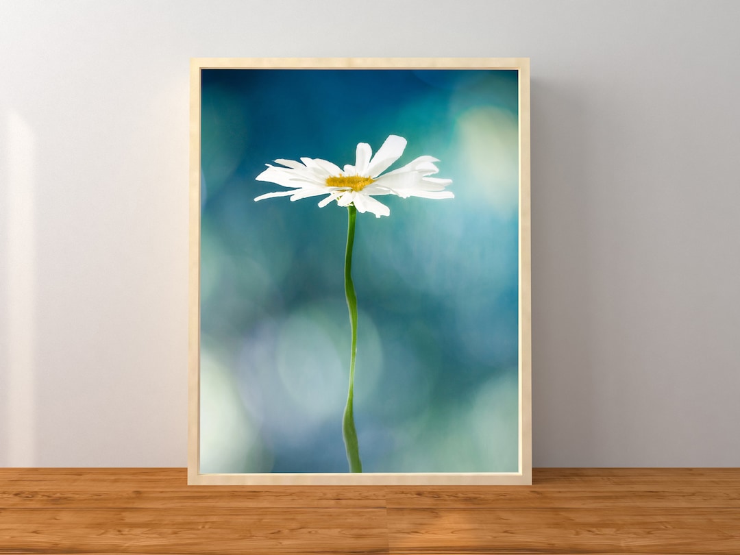 Wavy Daisy - Etsy