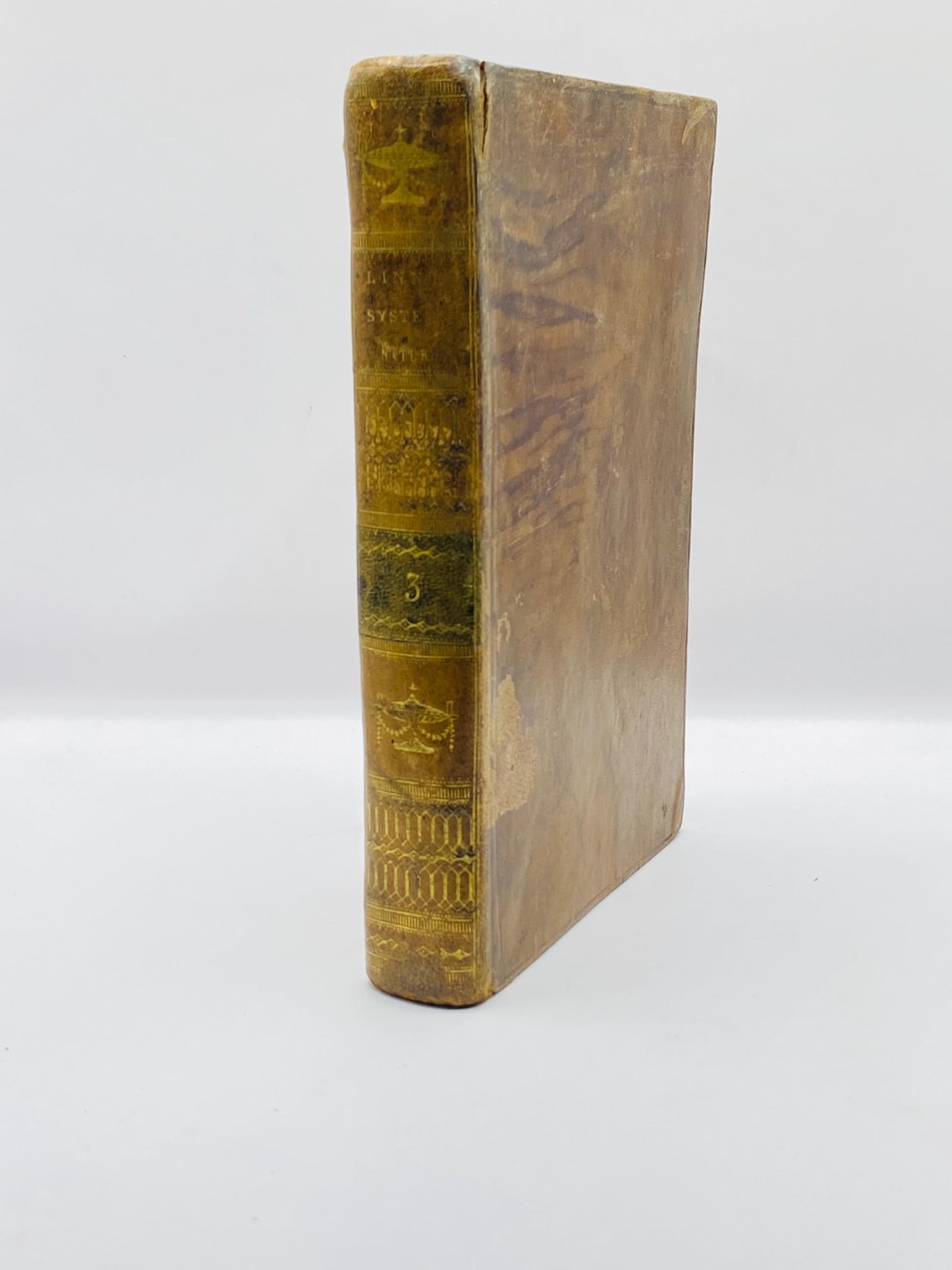 Systema Naturae: 1796 Carl Linnaeus Latin Antiquarian Book - Etsy